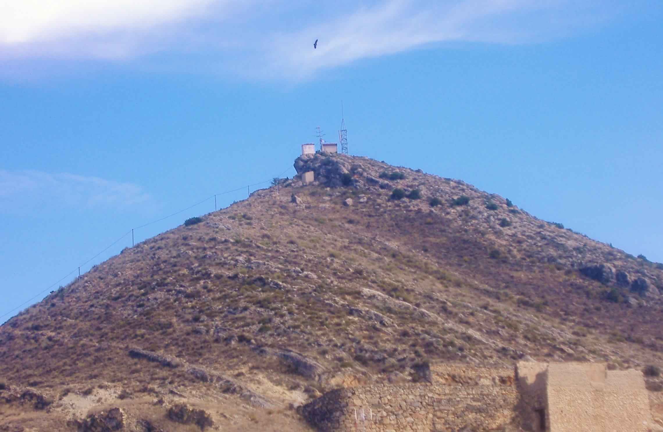 Picazo » Cimballa.com